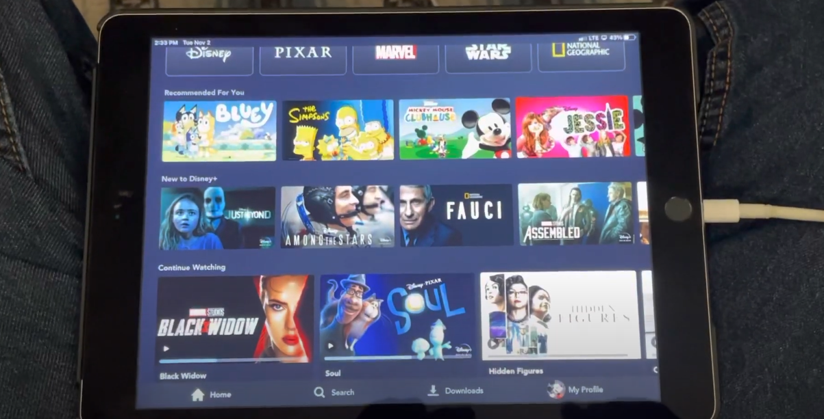 How to Play Disney Plus on a Projector? - ProjectorProfy